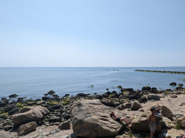 Connect – Resilience Hub