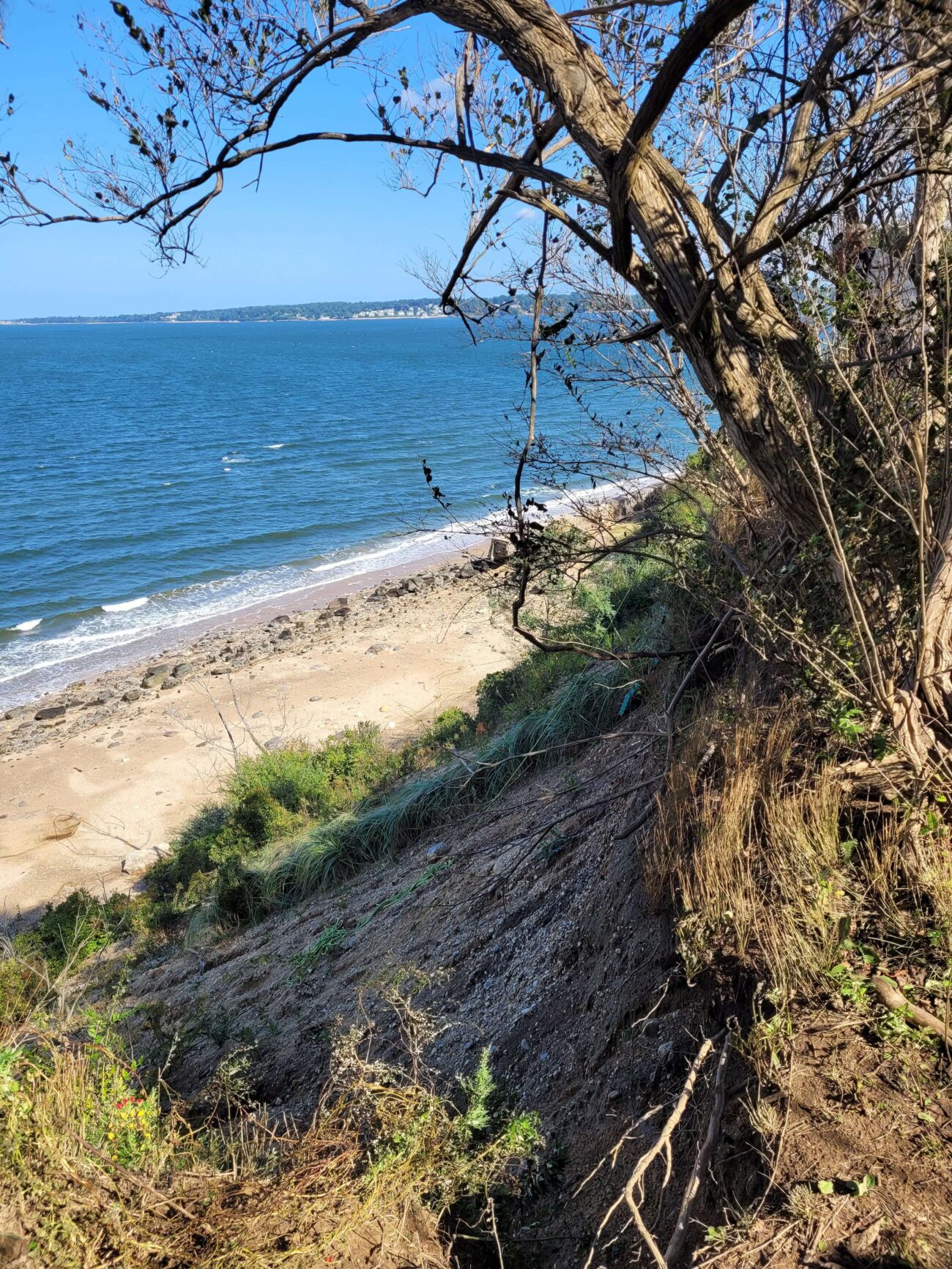Stabilization of Bluff at Sands Point Preserve – Resilience Hub