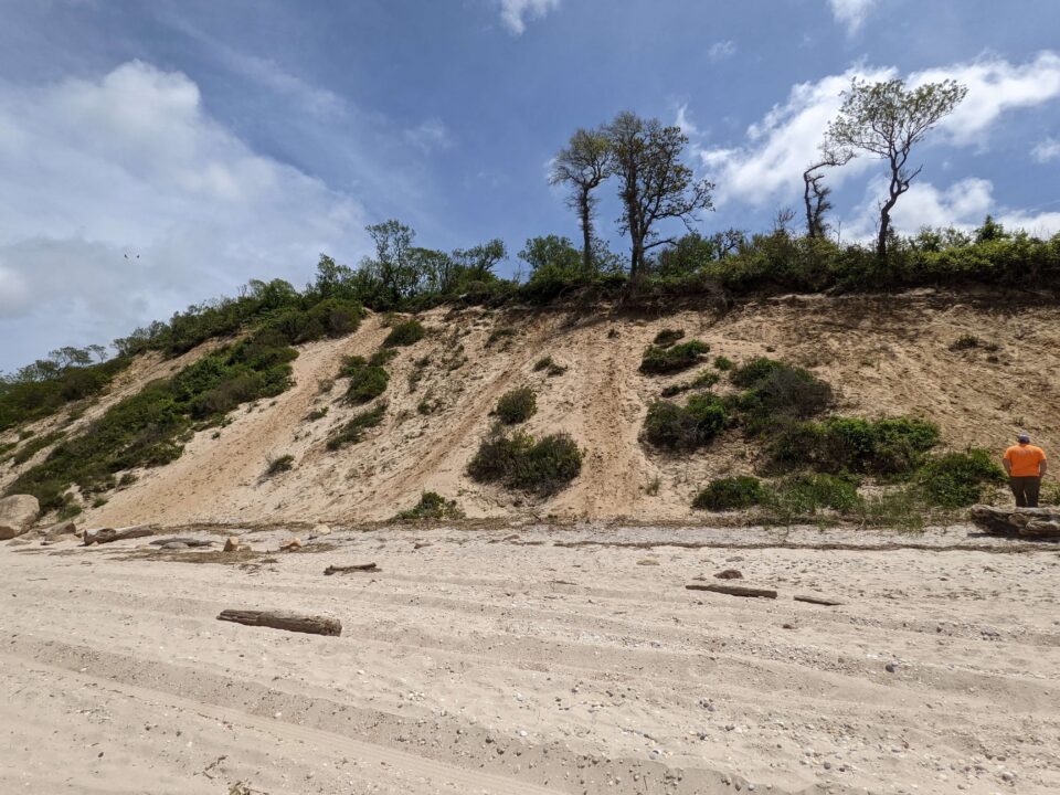 Maidstone Landing Bluff Restoration – Resilience Hub