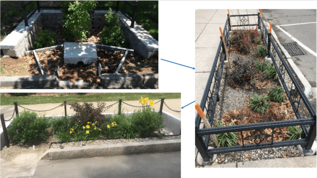 New Haven Bioswales – Resilience Hub