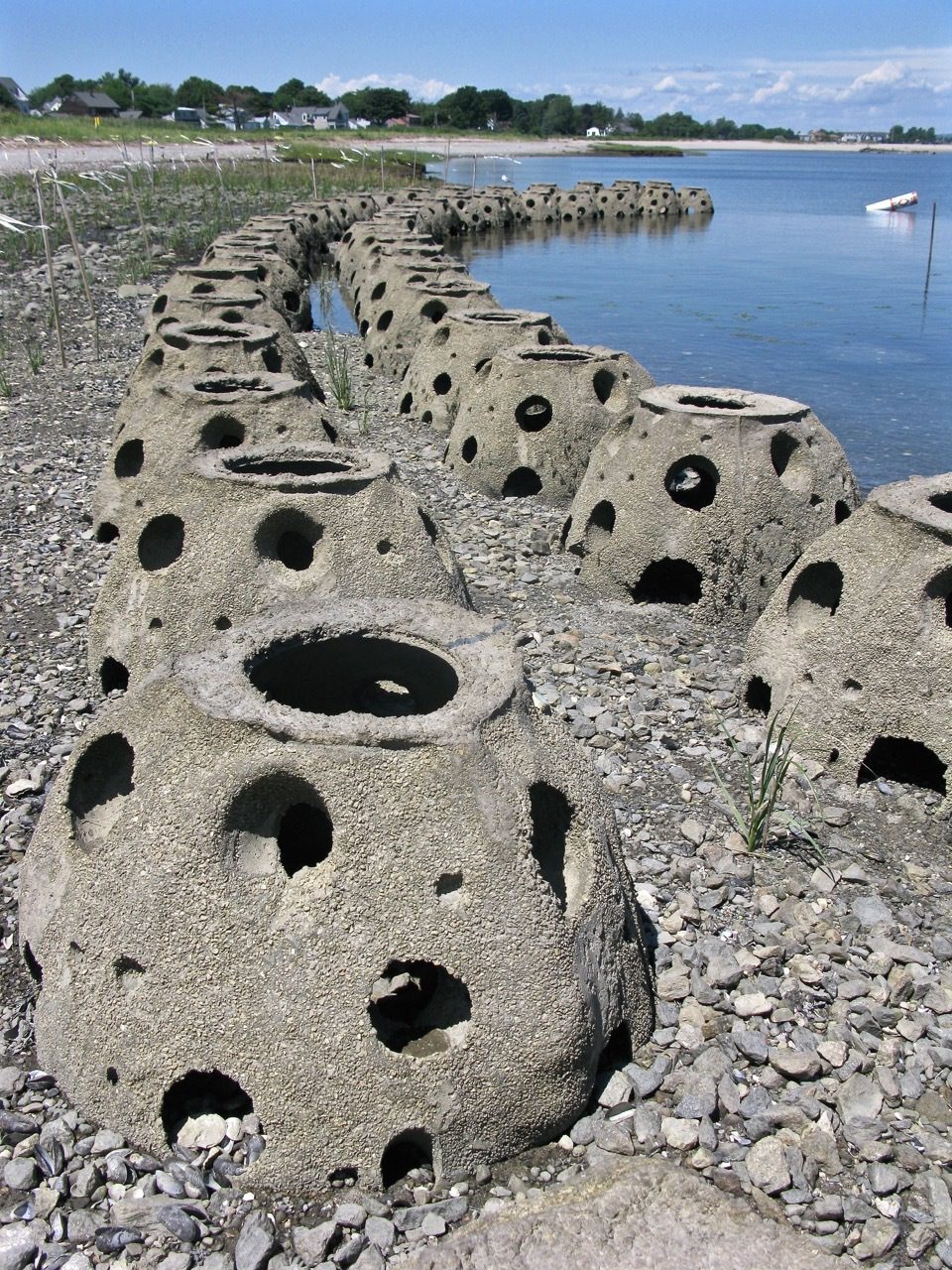 Stratford Point Living Shoreline & Tidal Wetland Restoration ...