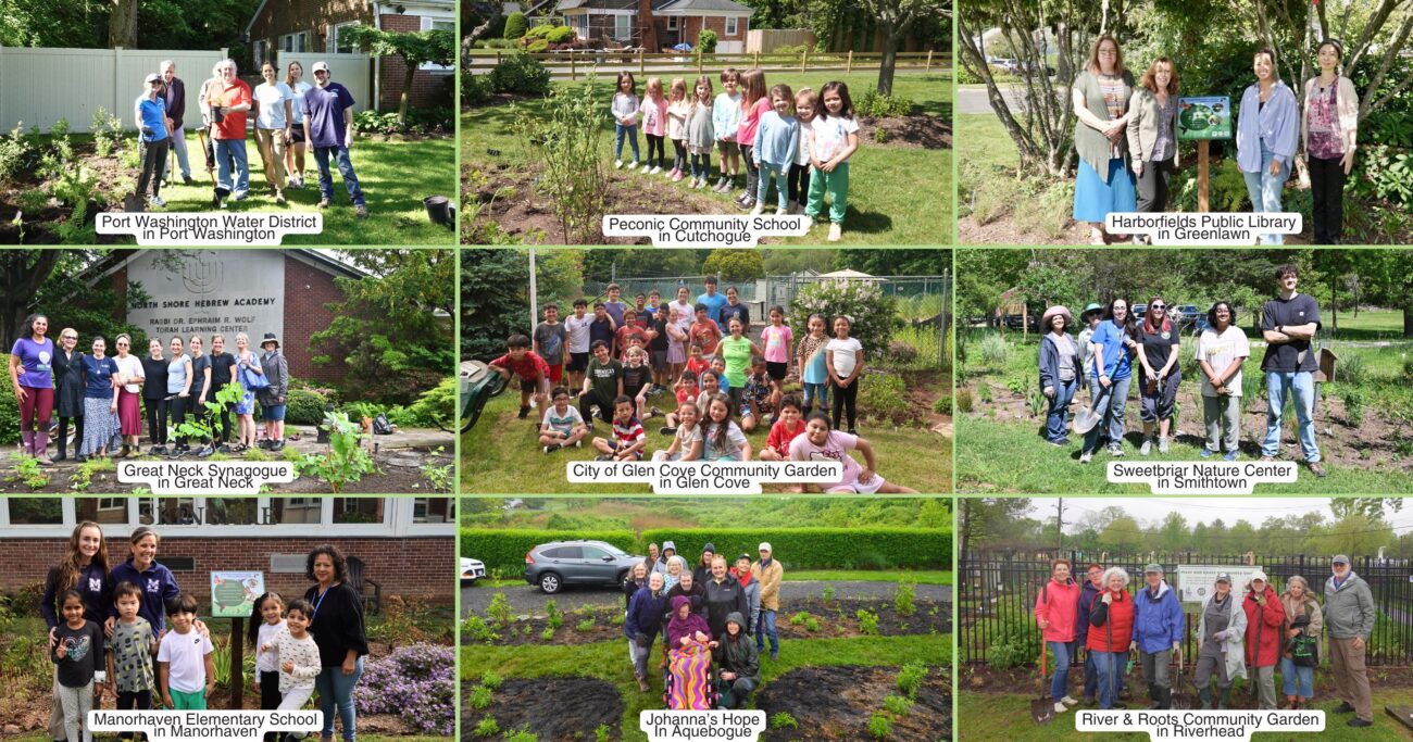 ReWild Long Island Community Gardens Program – Resilience Hub